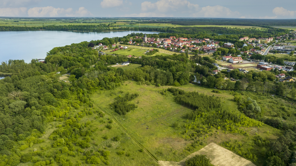 Justyna Stelmach - Muvon